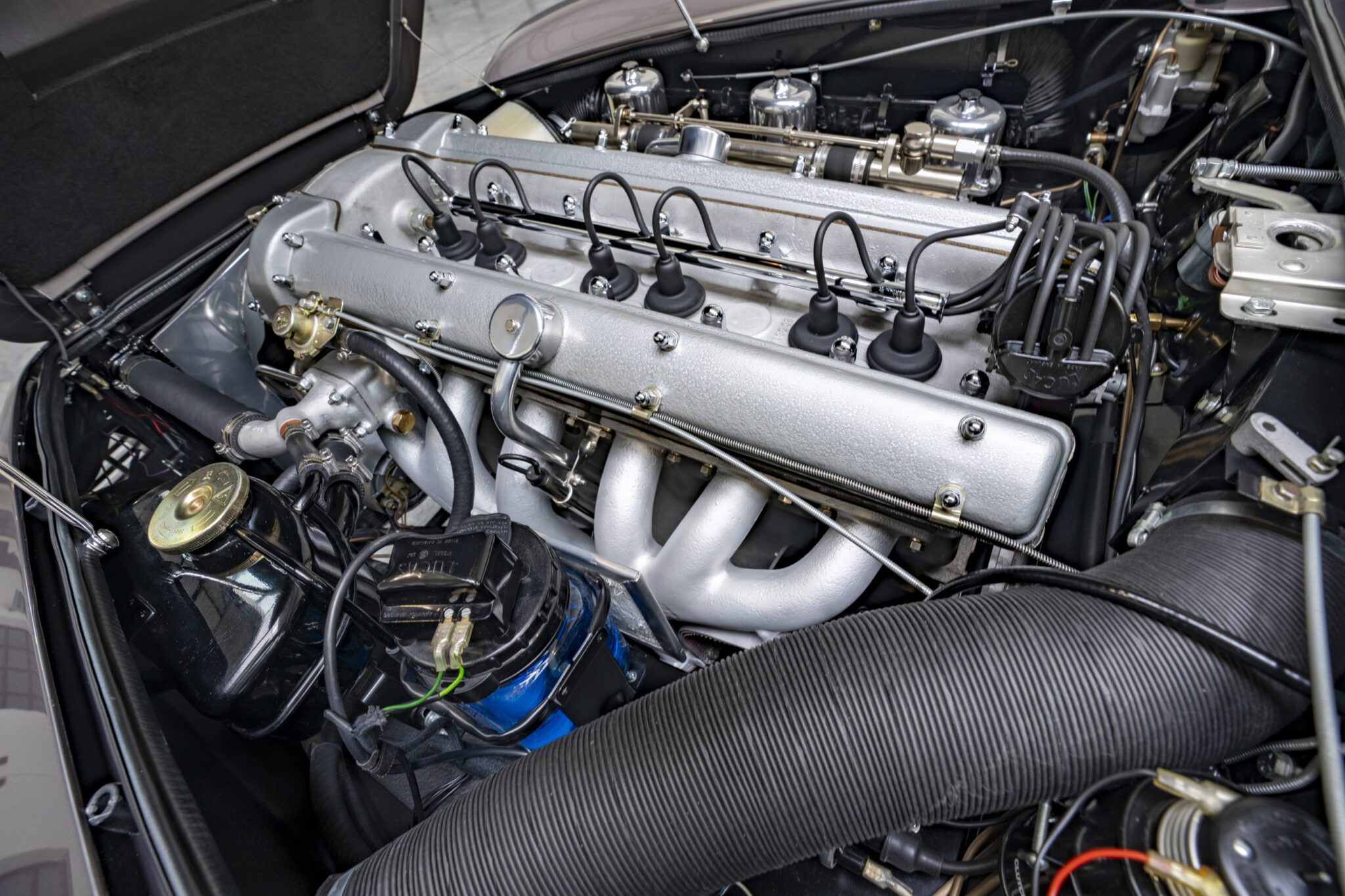 Kip Cyprus's 1965 Aston Martin DB5 Upclose | Kip Cyprus